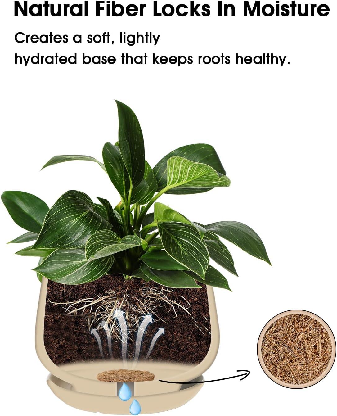 LE TAUCI Coconut Coir Drainage Mesh Pads for Flower Pots, Pre-Cut 2 ...